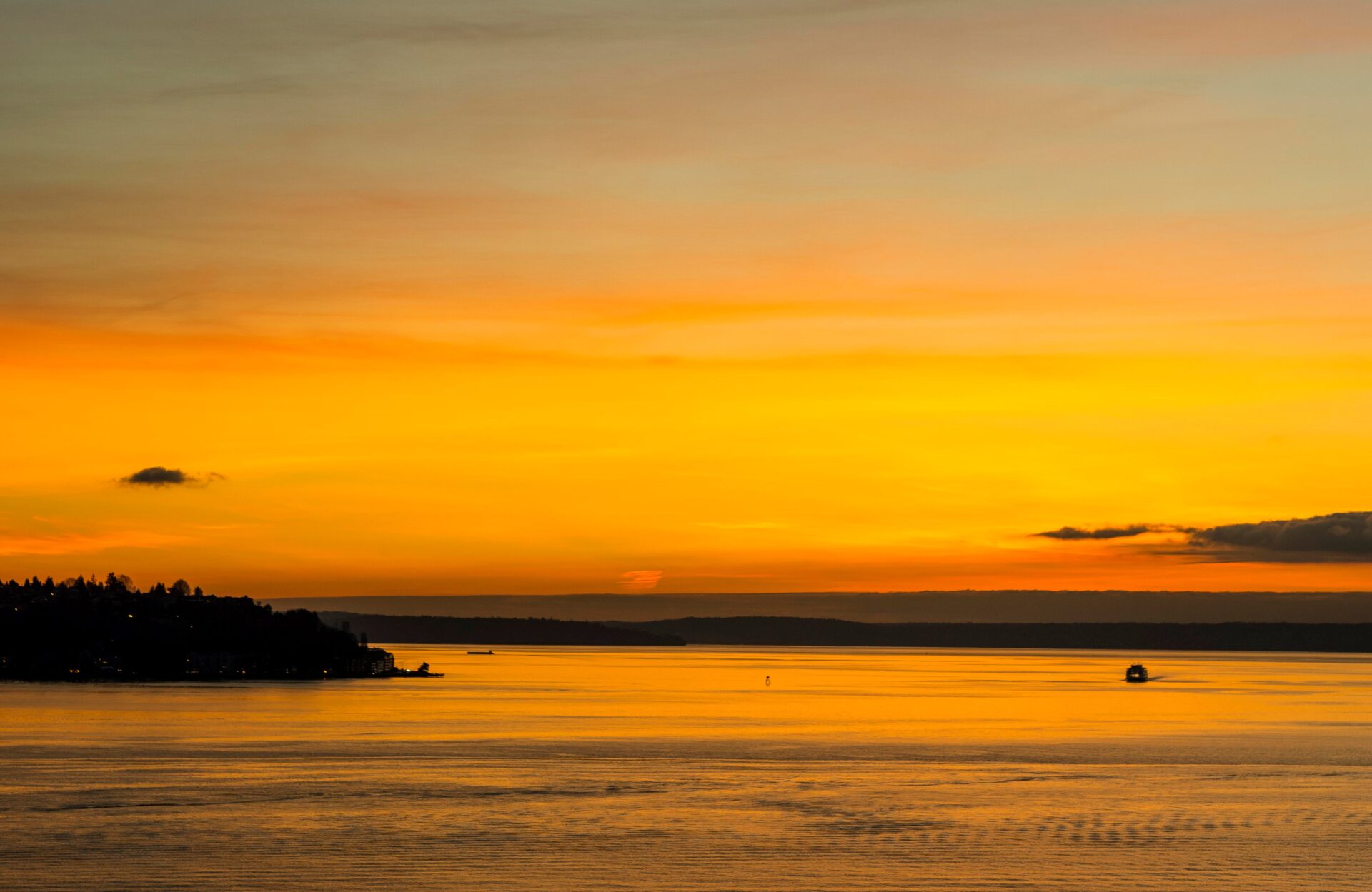 Relocating to California to Be Near Family Leads to Water View Condo ...